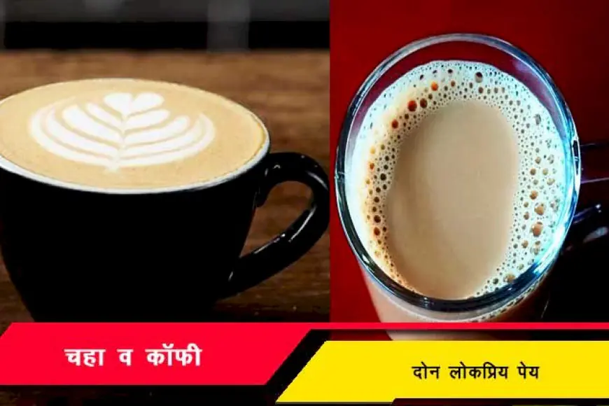 चहा व कॉफी - दोन लोकप्रिय पेय - Marathi Buzz