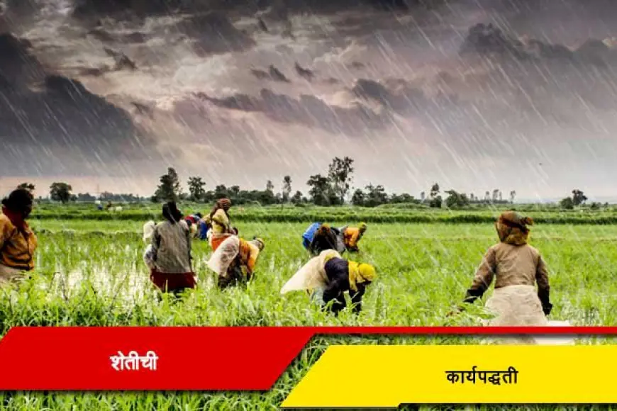 शेतीची कार्यपद्धती - Marathi Buzz